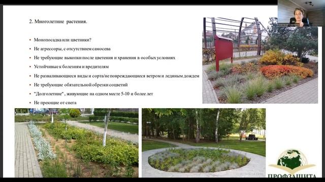 Малоуходный сад