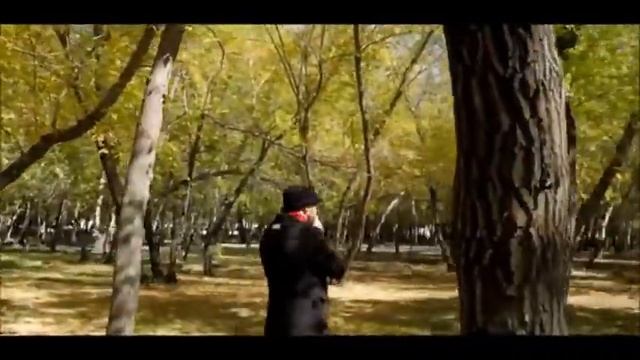 SokolovBrothers - Ты Пастырь мой (караоке +)