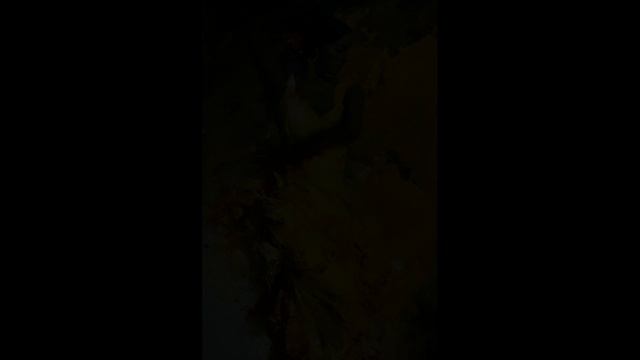 Анжелика Привалихина. Мелодии тишины и музыка импрессии