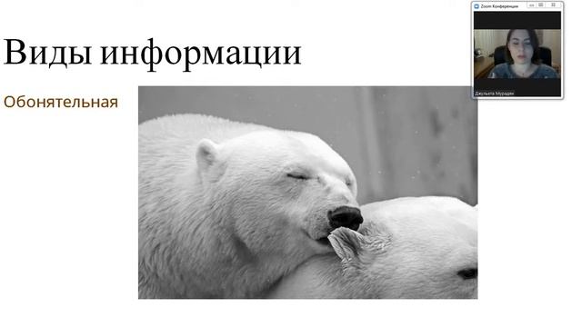 4 1  Виды информации и внимание