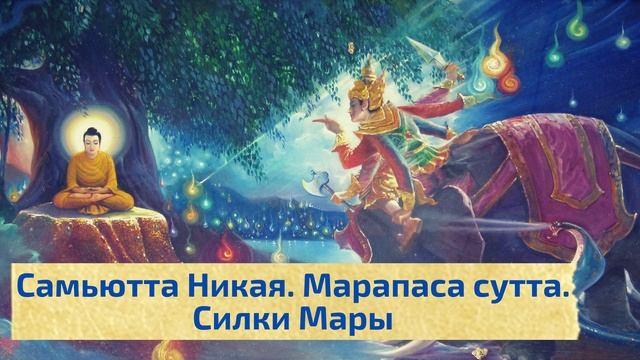 Самьютта Никая  Марапаса сутта  Силки Мары