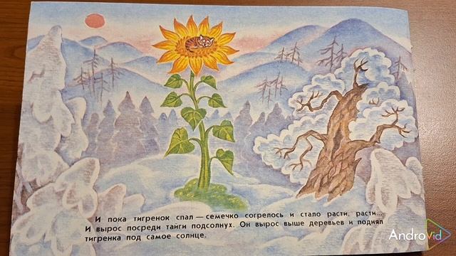 КНИЖКИ-МАЛЫШКИ.
Тигрёнок на подсолнухе