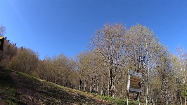 2024_05_19_Голубое_019