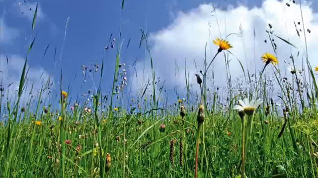 Snatam Kaur ~ Mul Mantra.wmv