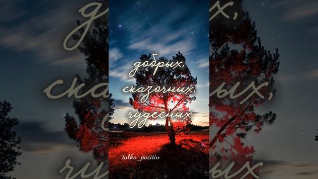 Доброй ночи!