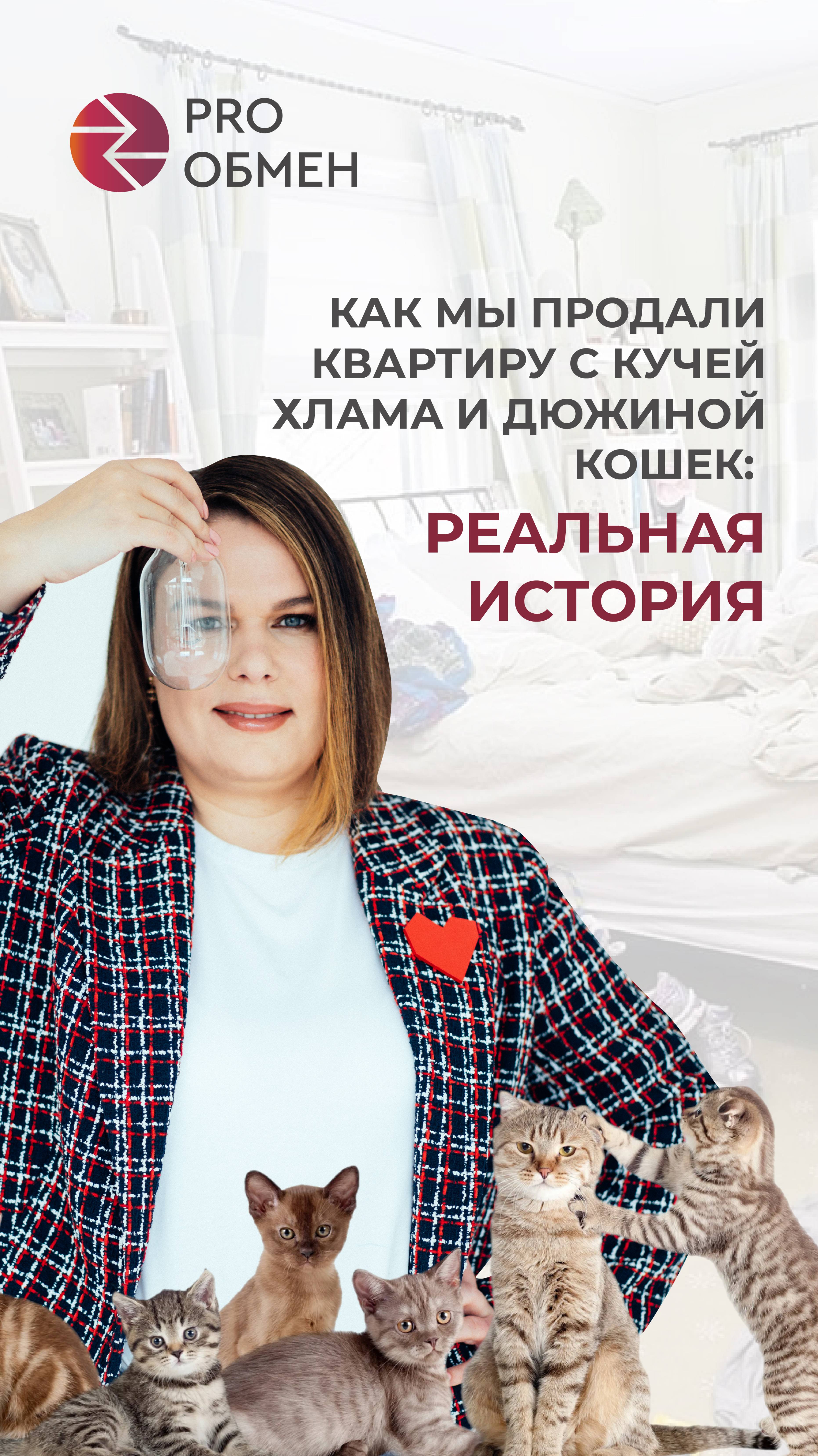 Как мы продали квартиру с кучей хлама и дюжиной кошек: реальная история