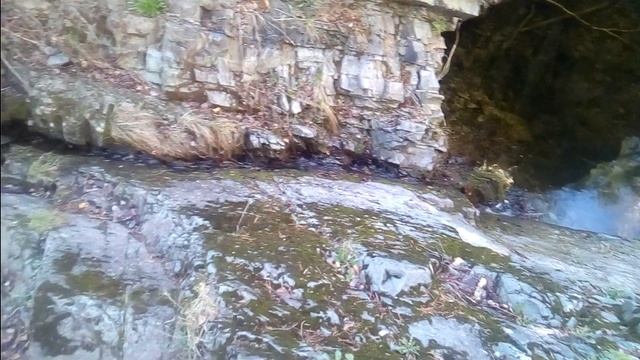 2022_05_12_Ольгин_4