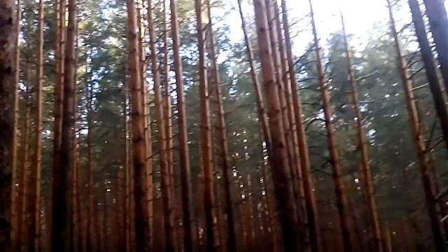 2016_04_23_здохня