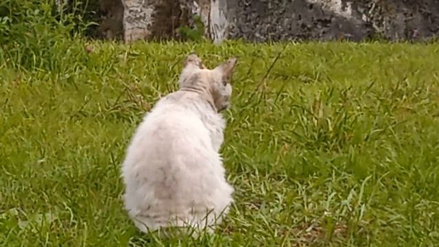 2023_07_20_Нейва