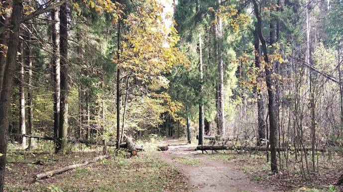 Дневник Шестого Периода Ба Цзы