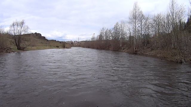 2024_05_23_027_Вижай_предпашия