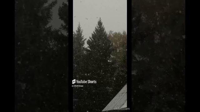 ❄️Белый снег, снежинки❄️