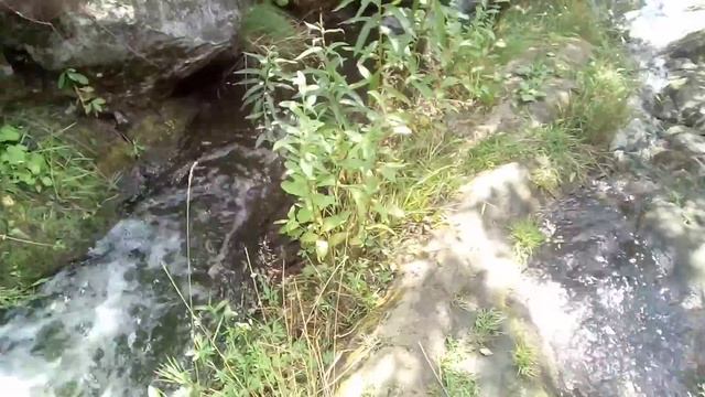 2021_08_02_Гилево