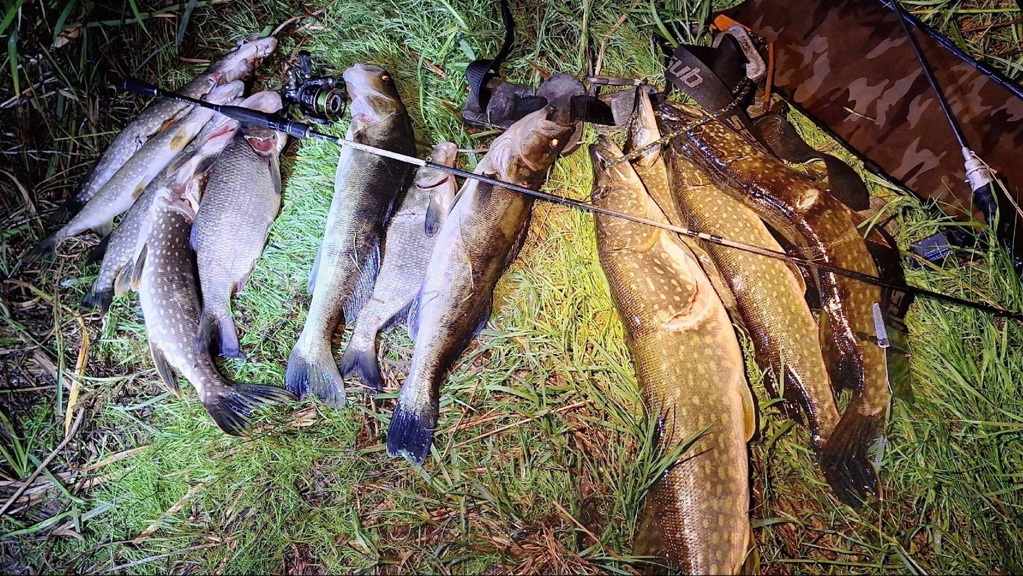 На подводной охоте можно отрофеиться не только рыбой.