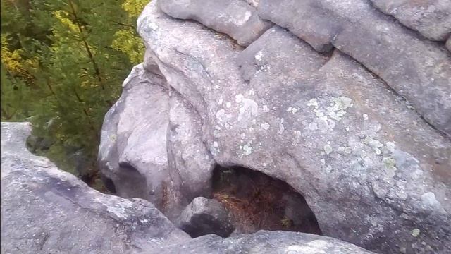 2016_10_01_ЗЛВ_Гребешки