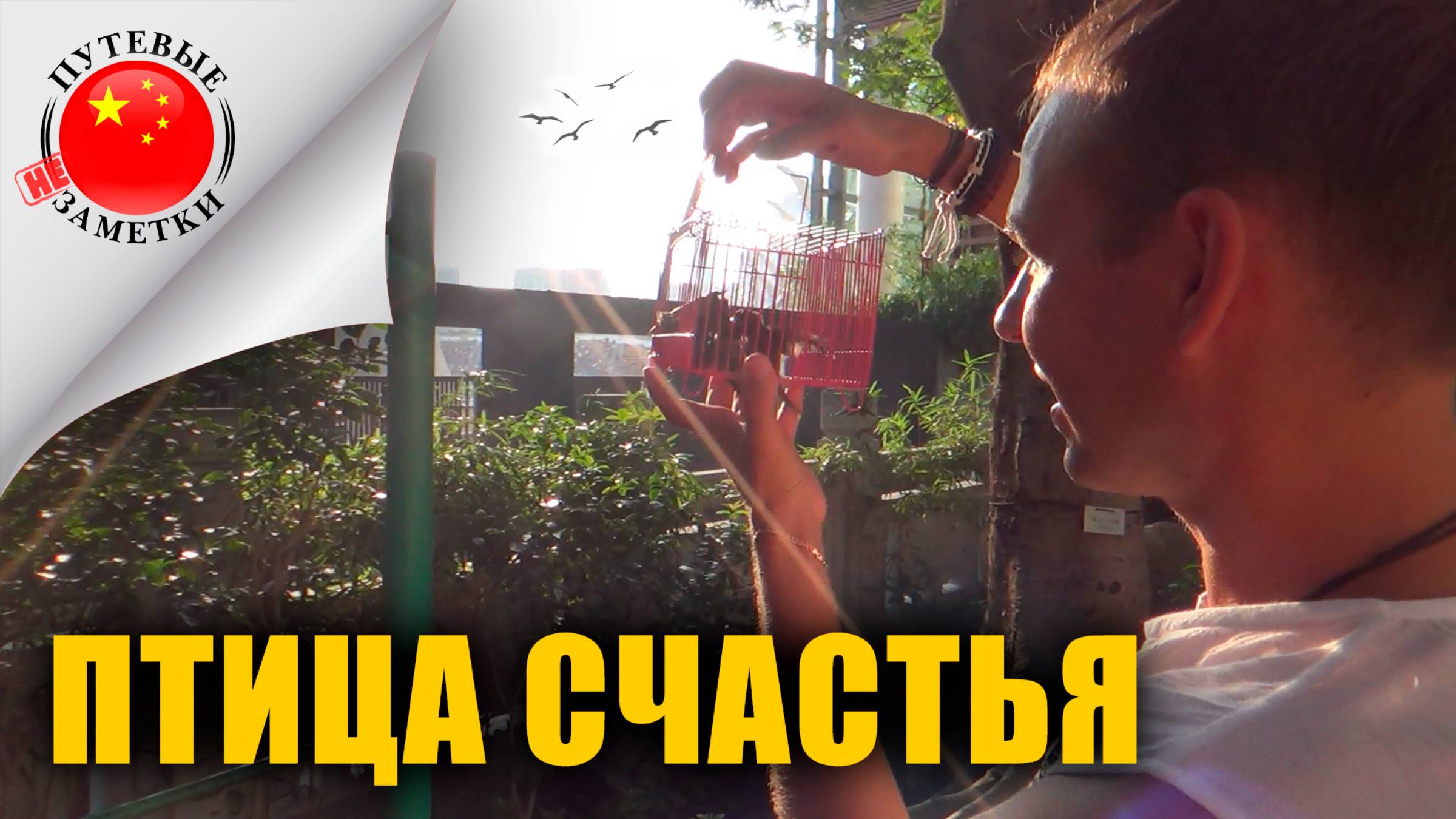путевые НЕ заметки | Китай: Птица счастья