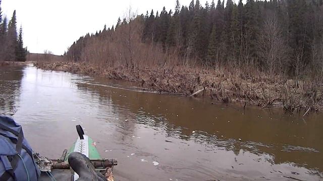 2024_05_14_Койва_010