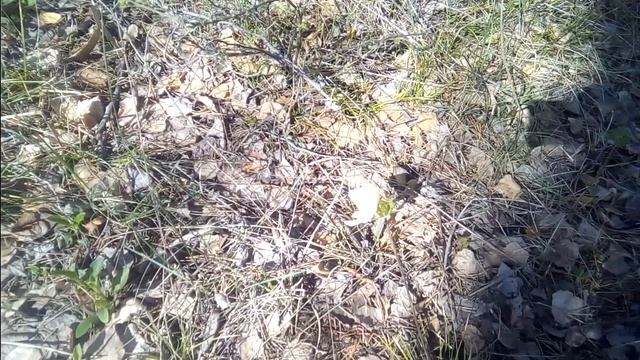 2022_05_12_Ольгин_5