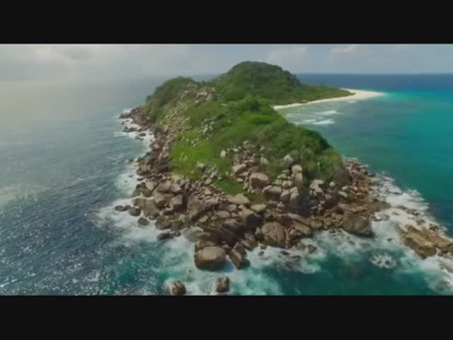 Static Bloom - Island Ride (CaMoGoH)