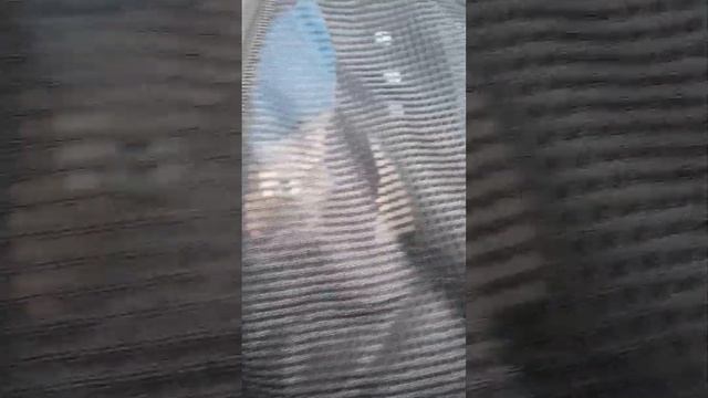 2023_06_30_Нейва_Старт