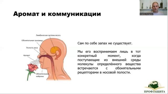 1  Аромакоммуникации