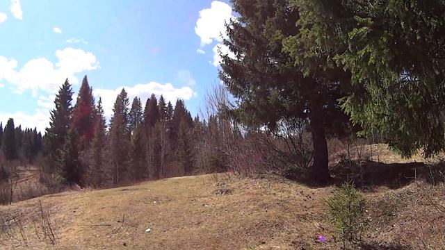 2024_05_21_021_Вижай_старт