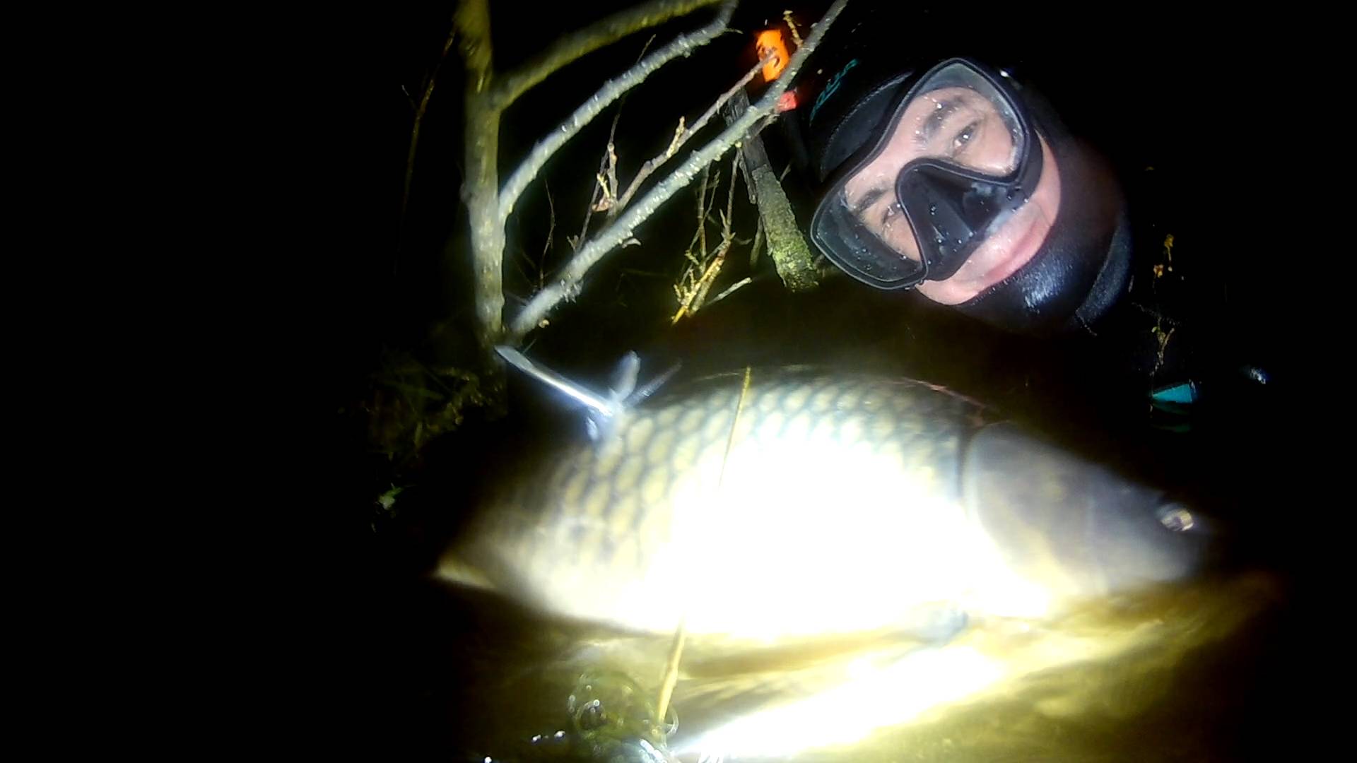 Подводная охота на карпа