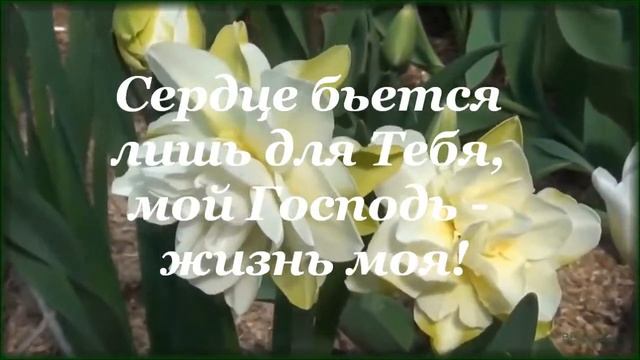 Радостно пою, славлю я Тебя! Автор и исполнитель Ольга Лангольф