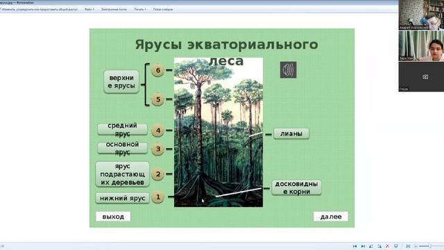 География 7кл Климатические пояса и природные зоны
