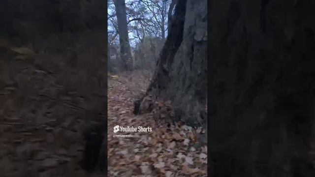 Леха Немагия вернулся со скетчами.