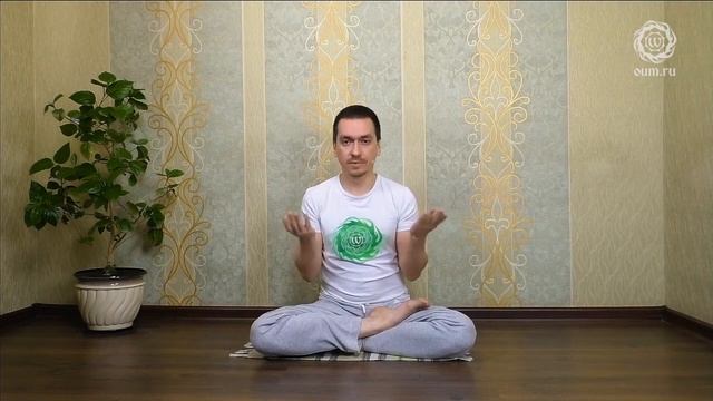 Питание в йоге  Как еда влияет на нашу жизнь Александр Назаренко