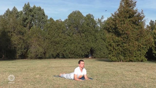 Комплекс йоги развитие балансов и силы. Александр Назаренко