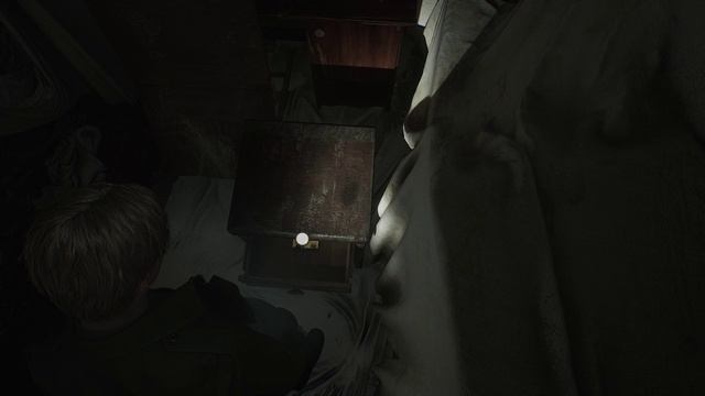 Silent Hill 2 Remake#8