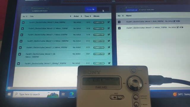 Minidisc Sony MZ-N707 recording probe via Platinum MD
