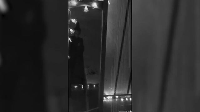 Жанна Лтавская - 'Без тебя' (Премьера клипа 2020) | Official Music Video