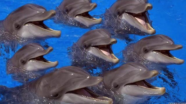 где брать энергию и куда она уходит