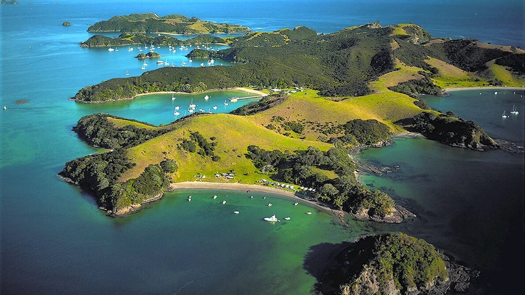 Субантарктические острова,Новая Зеландия.