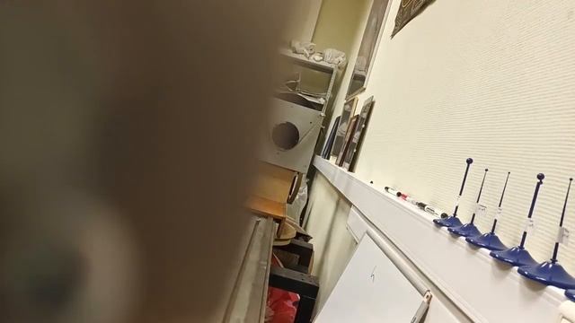 Из жизни подвала. 2024.10.05. Стекло, смола и жуконавты!