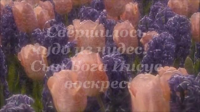 Христос воскрес! - Anelle