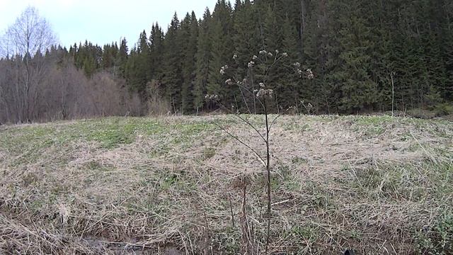 2024_05_23_029_Вижай_допещерие