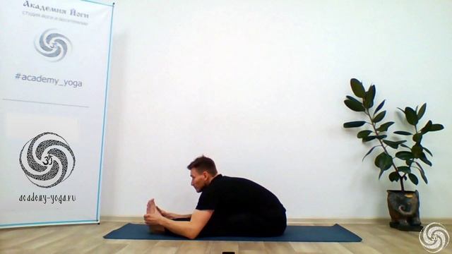 4. Йогатерапия Репродуктивной системы. Практика