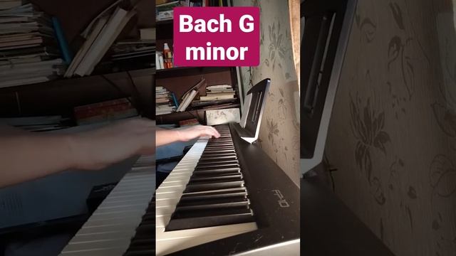 Bach G Minor #shorts