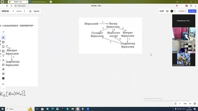 08.10  ВТ 11.10	Химия 	Амфотерные элементы