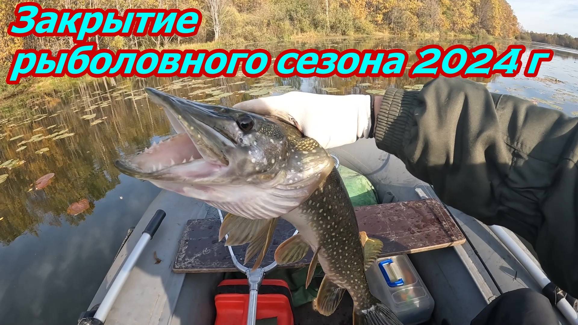 Рыбалка на спиннинг закрытие рыболовного сезона 2024г