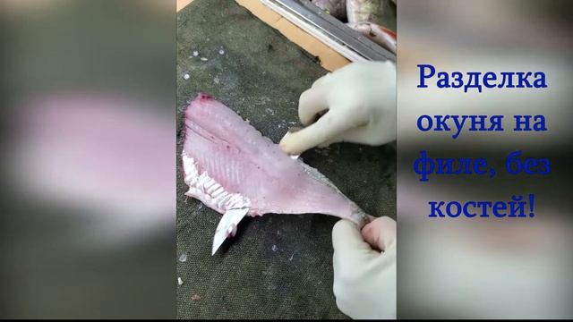 Филе окуня без костей. Быстрая и легкая разделка крупного окуня.
