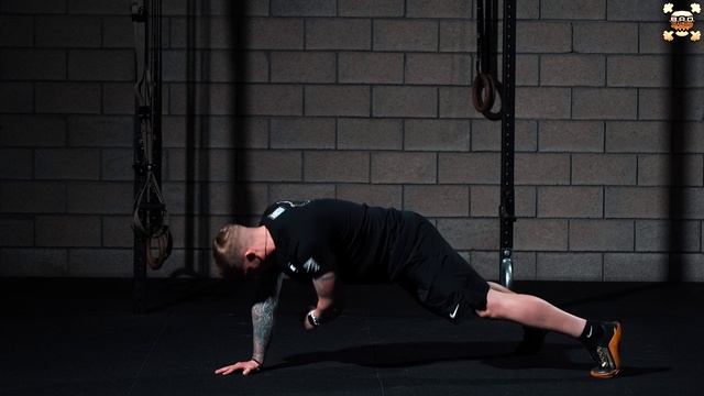 Скручивания в гимнастической планке / Повороты в планке на прямых руках