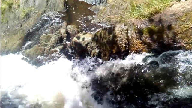 2021_08_02_Гилево