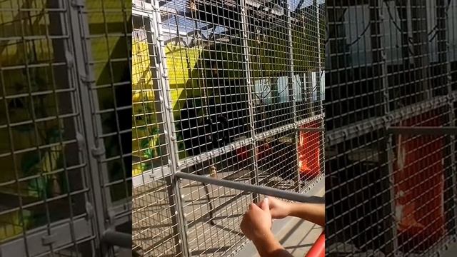 Любителям животных: Геленджик. Заповедник