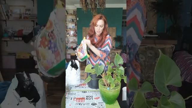 Рекомендации по посадке комнатных растений