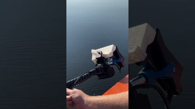 Обзор работы ротатора кронштейна "Перспектива v1" от Pelorus. Perspective v1.